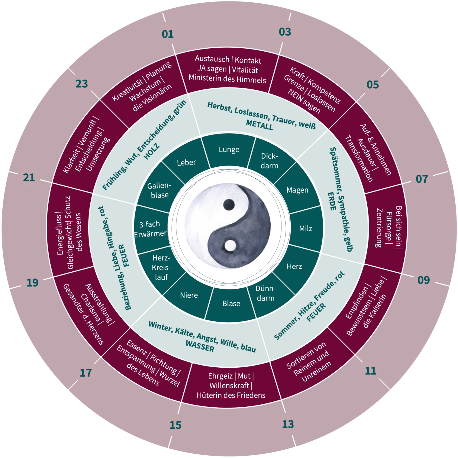 Die 12 Meridiane – Shiatsu.Circle